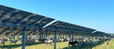 ASGA Call 67 Shepherding The Future Insights From Silicon Ranch S