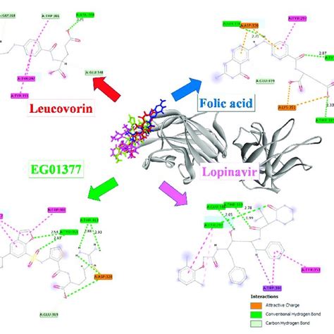 tested compounds binding modes and two dimensional illustration of