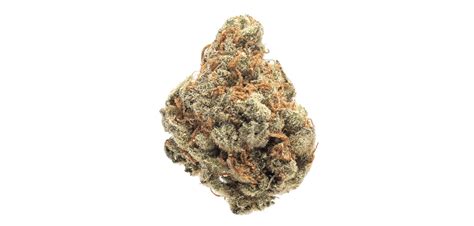 Super Lemon Haze