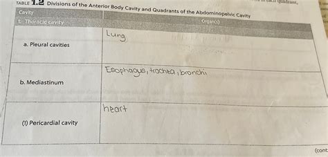 Solved Table 1 2 ﻿divisions Of The Anterior Body Cavity And