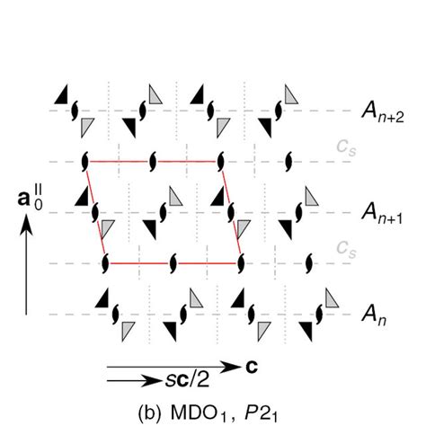 Schematic Representation Of The Symmetry Of A The Polytype I And