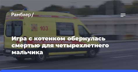 Игра с котенком обернулась смертью для четырехлетнего мальчика ...