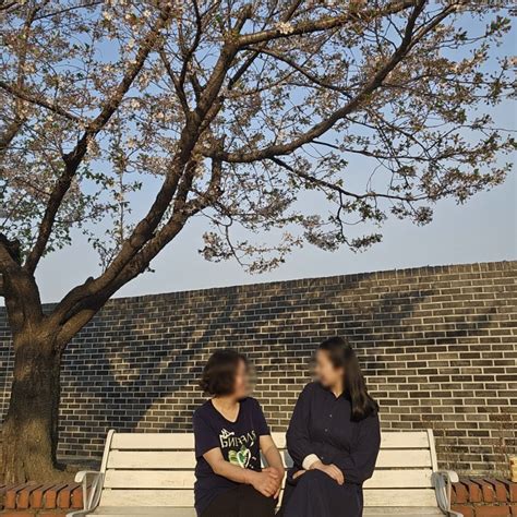숨겨진 벚꽃 명소 정독도서관 주차부터 구내식당까지 꿀팁포함 네이버 블로그