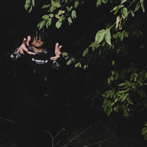 Little Giant Twitter Instagram Linktree