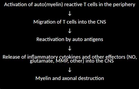 Gen Med Ii Multiple Sclerosis And Trigeminal Neuralgia Flashcards Quizlet