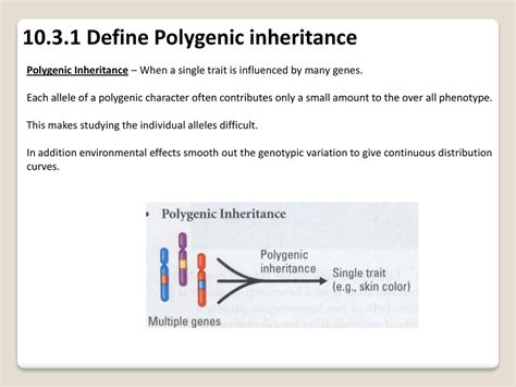 Polygenic Traits Examples