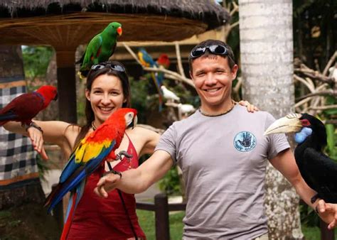 28 Scarlet Macaw Facts Ara Macao Guide To Both Subspecies