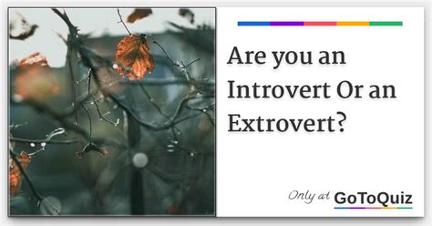 Are You An Introvert Or An Extrovert