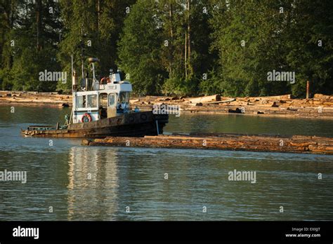 Tug Boat Pushing Log Boom Down The Fraser River Bordering Vancouver