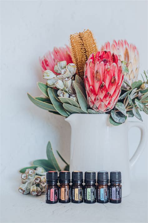 Emotional Aromatherapy Kit Images Gallery Essential Oil Images
