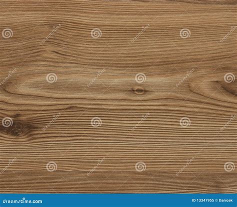 Dark Pine Tree Wood Stock Image Image Of Textured Tree 13347955