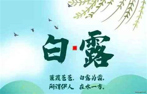白露的诗句有哪些关于白露的诗词大全 烟雨客栈