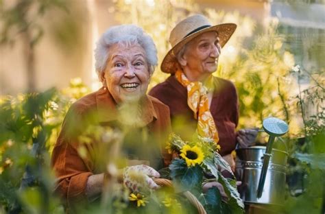 La Ciencia Descubrió Los Cuatro Hábitos Para Vivir Más De 100 Años
