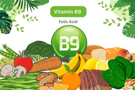 Folic Acid Before Pregnancy Top 4 Essential Advantages Explained
