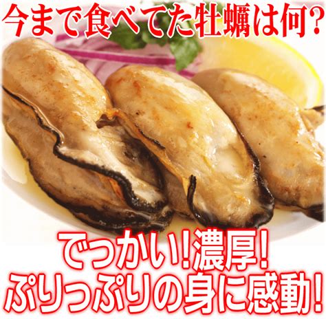 【楽天市場】カキ 広島カキ ギフト 牡蠣 送料無料 牡蠣かき特大 2l 1kg正味850g×2袋 2kg 牡蠣 広島産 鍋 ヘルシー