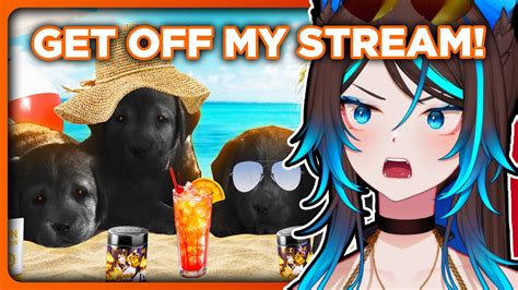 The Council Took Over Sinders Bikini Debut Youtube