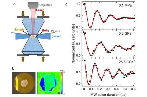 novel quantum detection method for in situ sensitive magnetic