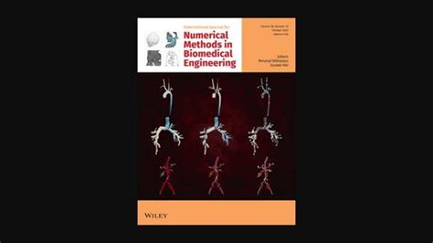 Cover Imageinternational Journal For Numerical Methods In Biomedical Engineering X Mol