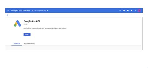 Google Ads Api Integration Using Postman Inno Valley Works