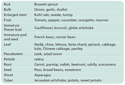 Calculate How Many Vegetables To Plant