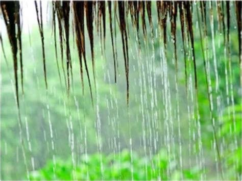 Maharashtra Rain Update Weather Report Vidarbha Gadchiroli Konkan