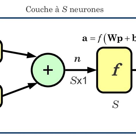 Représentation matricS neurones et R entrées Download Scientific Diagram