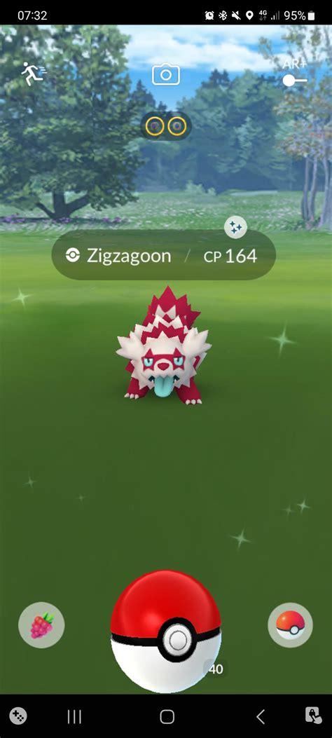 This Is My 3rd Re Shiny Zigzagoon In 4 Weeks Are Their Odds 1 20 R Pokemongo