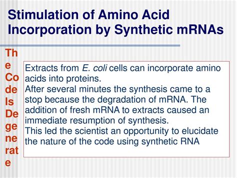 Welcome Each Of You To My Molecular Biology Class Ppt Download