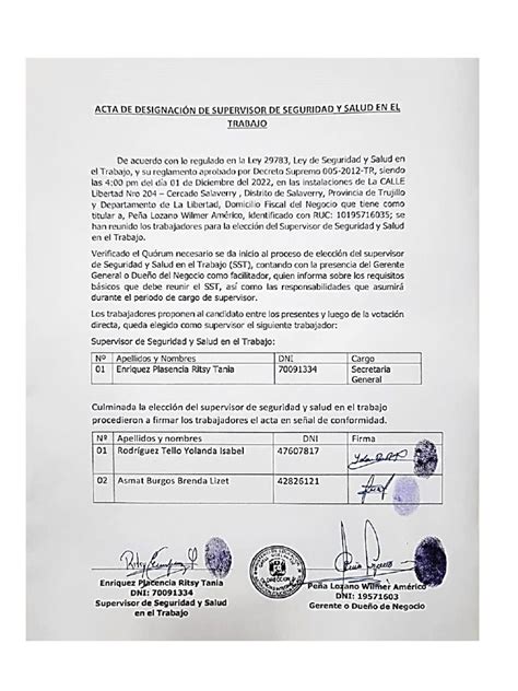 Acta De Elección De Supervisor De Seguridad Pdf