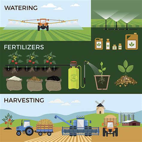 14600 Insecticide Stock Illustrations Royalty Free Vector Graphics