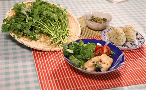 Tv見てね！ときめき野菜のシャンサイ！【磐田市】 ときめきブログ Ja遠州中央