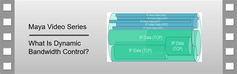 Maya Global Solutions Intelligent Network Application Optimization