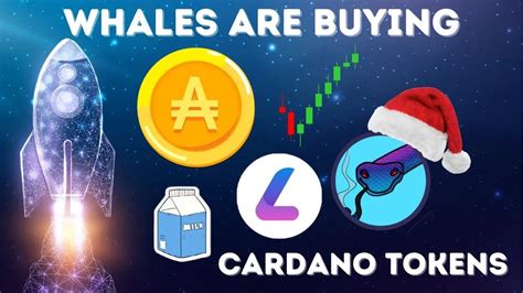 Cardano DEFI Is Preparing For Launch