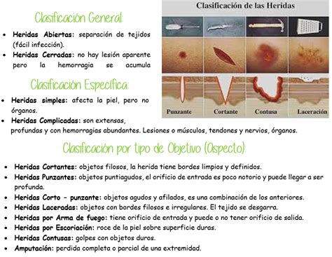 Medicina for Dummies Heridas y Cicatrización Hive