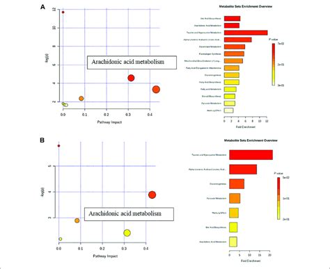 Metabolic Pathway Analysis A Metabolic Pathway Analysis Between Download Scientific Diagram