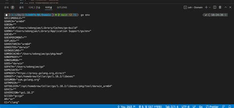 Go Could Not Import Package 오류 해결하기