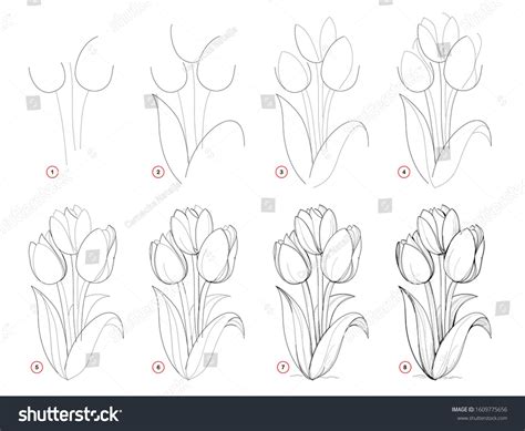 How To Draw Step Wise Beautiful Bouquet Of Tulip Flowers Creation Step