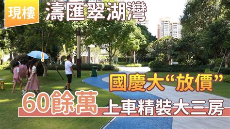 【肇慶hit盤】鼎湖濤匯翠湖灣性價比之最，60餘萬帶裝修現樓｜成熟小區，屋苑入住率高達6成｜真實園林真實小區情況！ Youtube