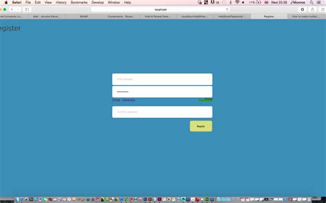 Javascript How To Make Hide Show Button Appear In A Single Input Without Bootstrap Stack