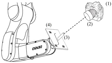 Automated Measurement Of Geometric Features In Curvilinear Structures Exploiting Stegers Algorithm