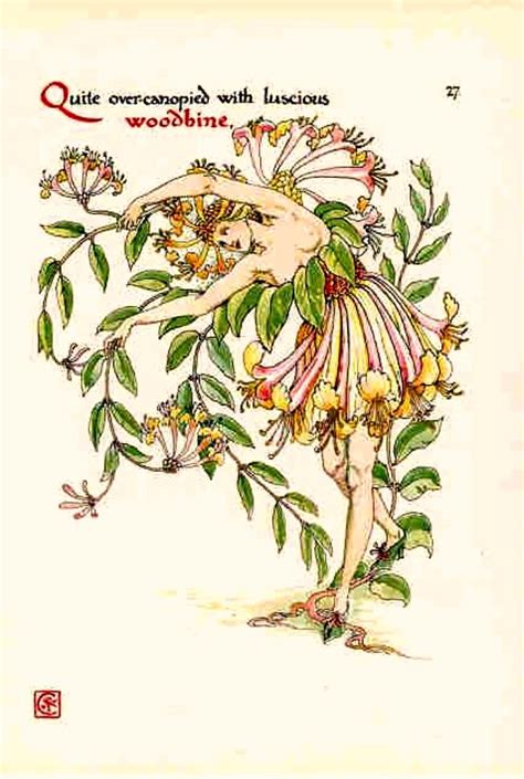 Pin By Julia Wright On Design Walter Crane Walter Crane Vintage