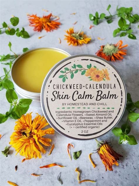 How To Make Soothing Chickweed Salve Recipe And Infused Oil ~ Homestead