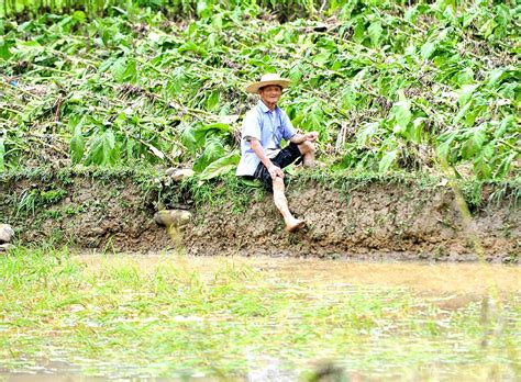 广西凤山遭暴雨袭击1 85万人受灾 社会奇趣 湖南红网新闻频道