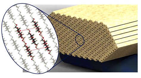 Cellulose Nanocrystals Possible Green Wonder Material Purdue University