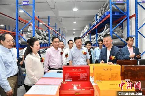 “中国化橘红之乡”广东化州深融生态橘红产业园投产化州市产业园广东省新浪新闻