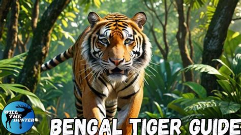 Bengal Tiger Guide Hotspot Map And All Information You Need To Hunt