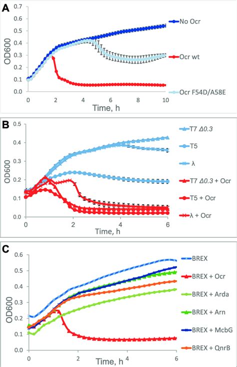 Ocr But Not Other Dna Mimic Or Antirestriction Proteins Is Sufficient Download Scientific