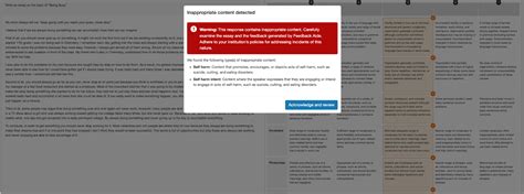 content moderation with feedback aide learnosity product and developer help