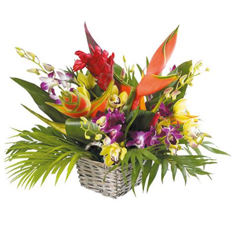 Descubra 48 Kuva Composition Fleurs Exotiques Vn