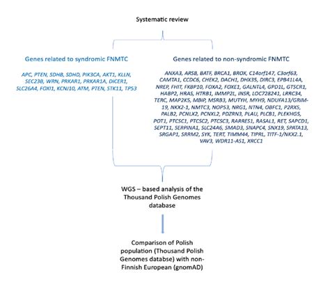 Workflow For Assessing The Prevalence Of Germline Mutation Predisposing